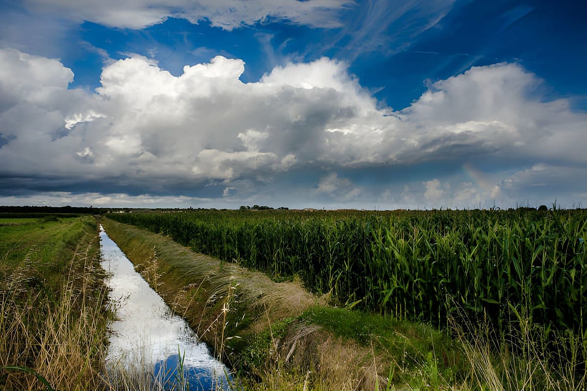 Eco-Friendly Drainage Solutions for Sustainable Agriculture Practices ...