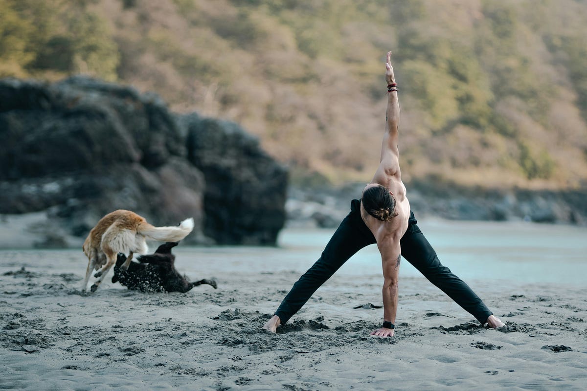 Dogs Who Love Yoga: Introducing Pooch-Friendly Poses | by Doris Sherman ...