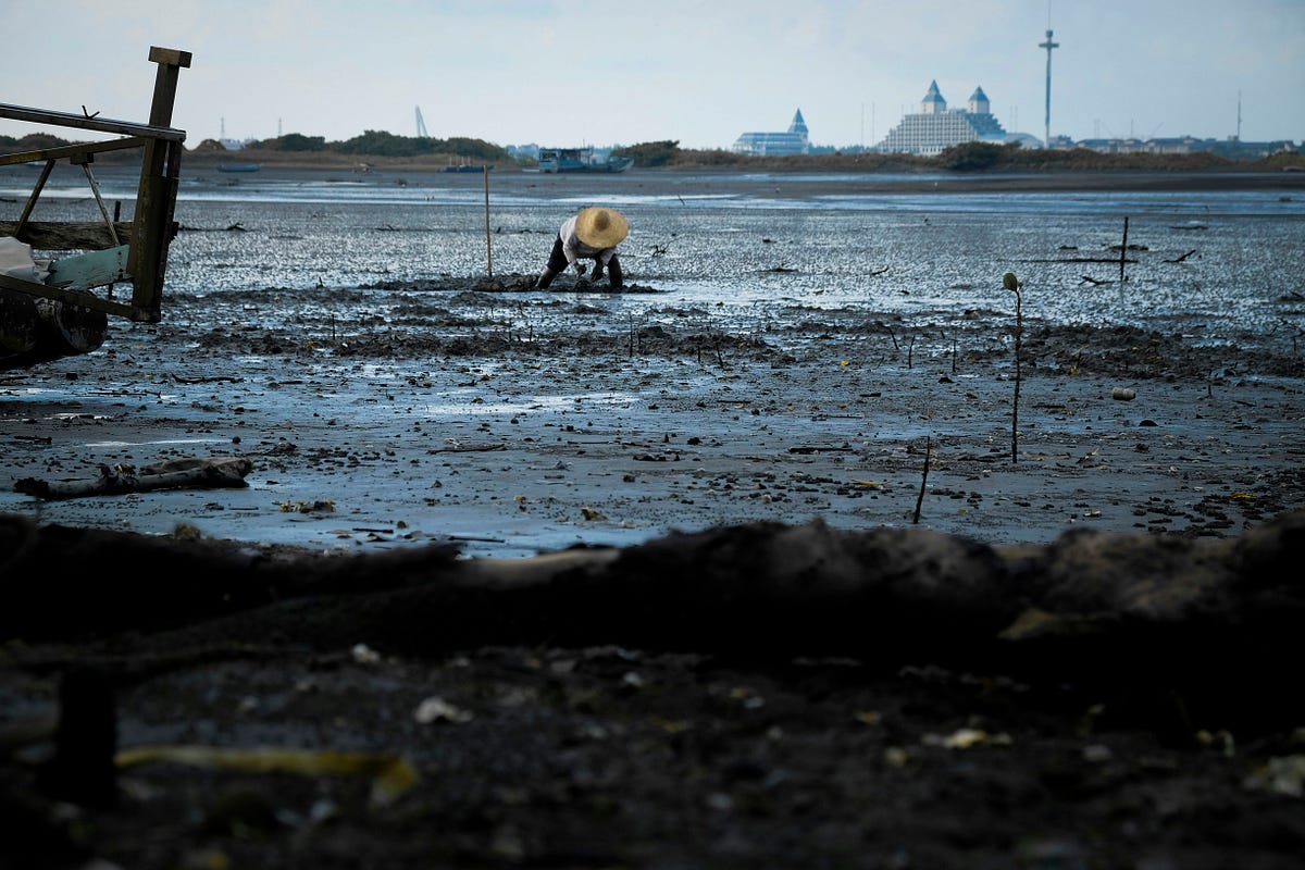 THE MYTH BEHIND PERIWINKLE HUNT IN EMOHUA. | by Mr Green | Oct, 2024 ...