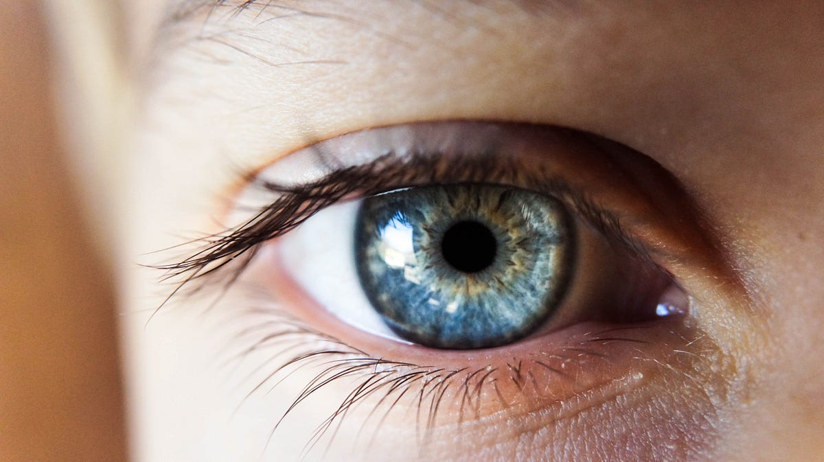 Ocular Disease Recognition Using Convolutional Neural Networks | by ...