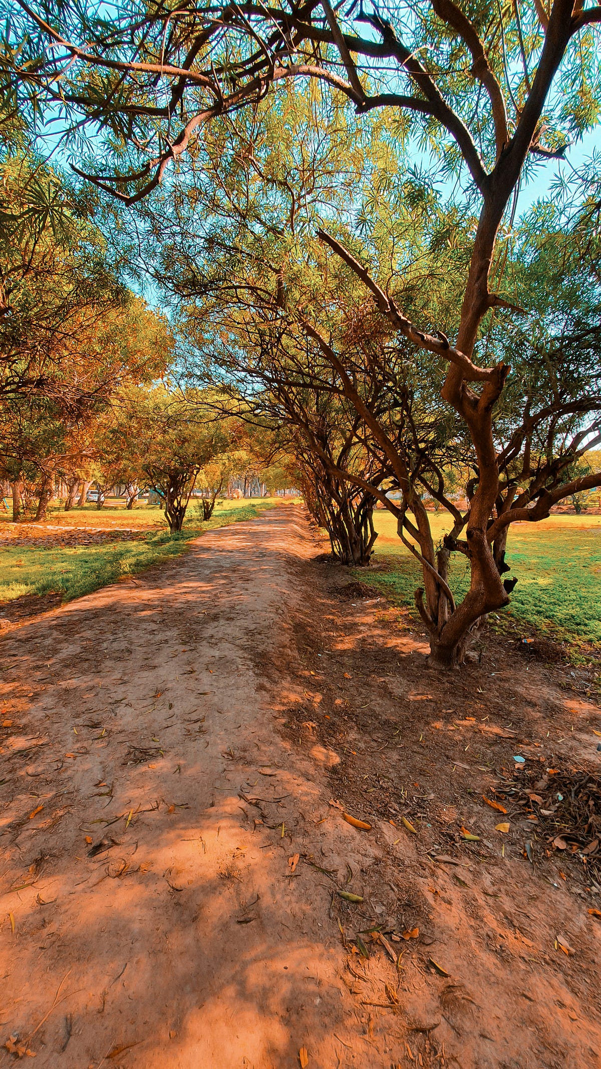 NATURE A BLESSING ‘ | by Arisha Umar | Medium