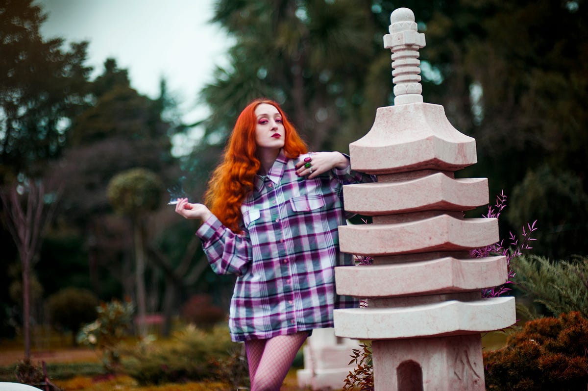 How To Check If An Array Includes A Value In Javascript By John Au Yeung Javascript In Plain