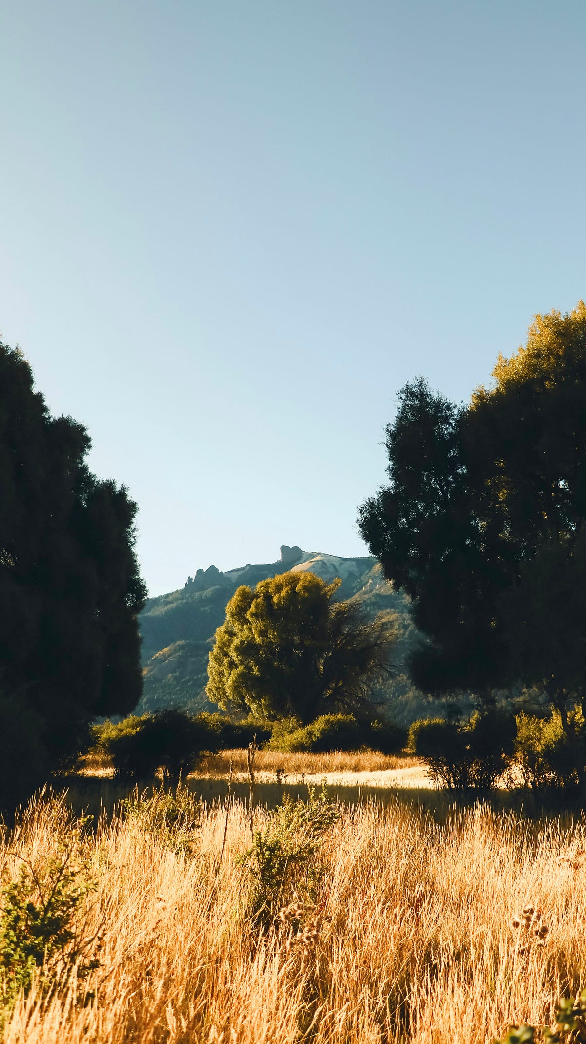 What the Hum Really Is (And Why Most People Mistranslate It) | by Grace ...