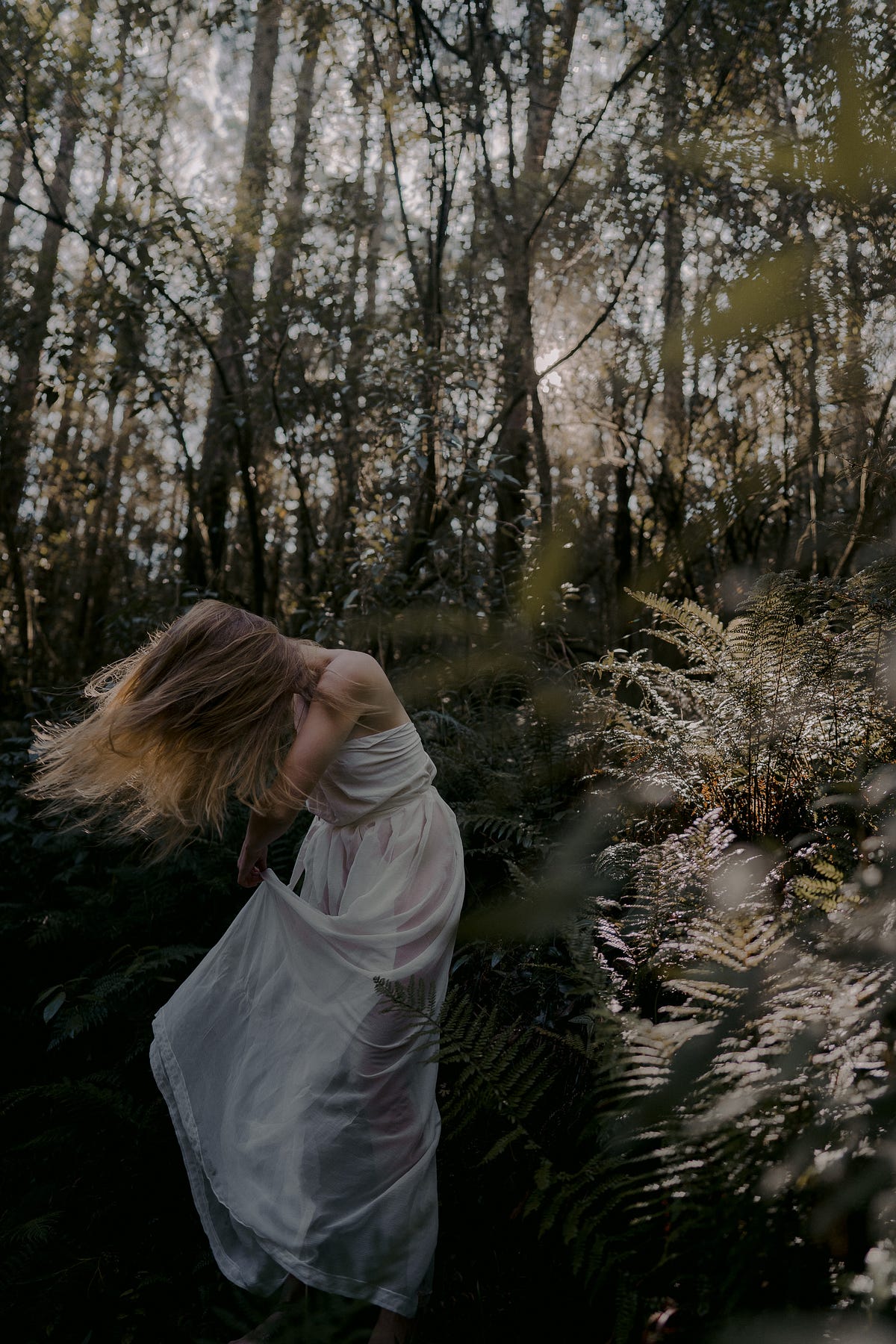Enchanted Sky. A Fairy’s Journey Through the Tapestry… | by Dr ...