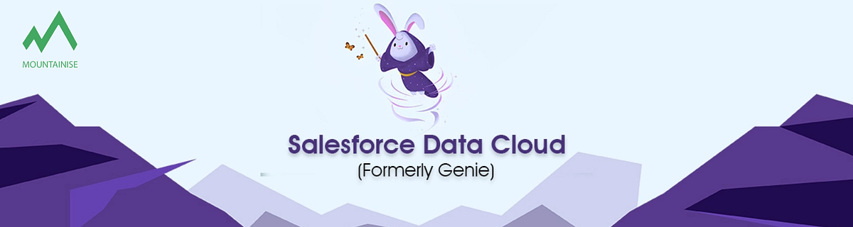 Comprehensive Guide to Salesforce Data Cloud Integration | by ...