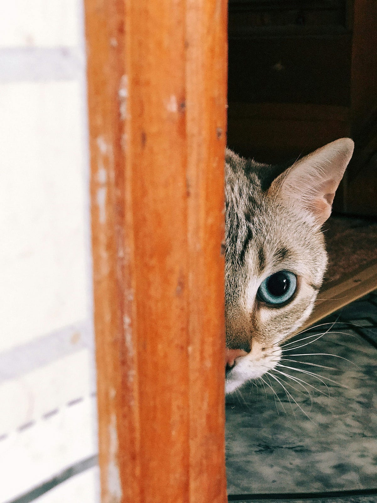 What Parts of Myself Do I Hide from Others, and Why? 🤔 | by Roy | Medium