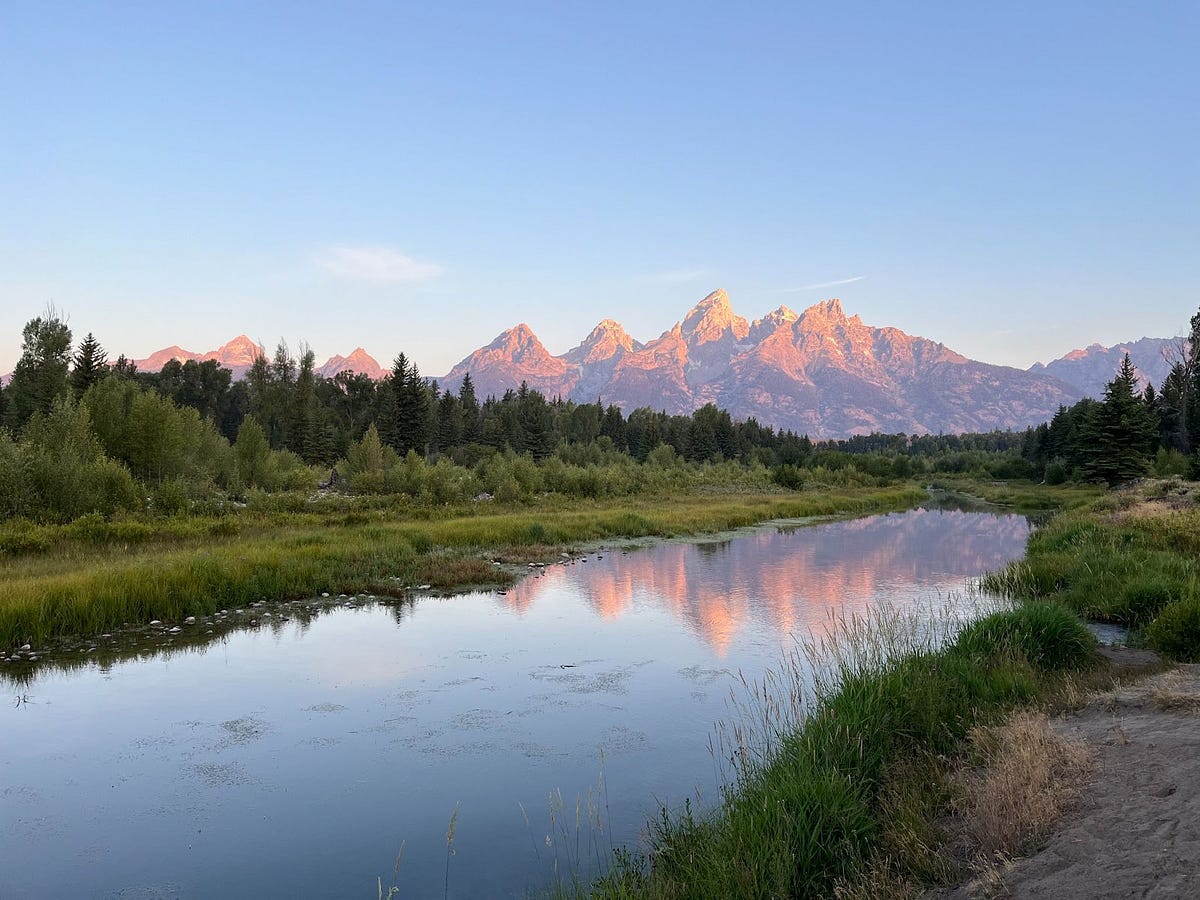 The Call of the Western Wild. By: Xindi Liu | by Guac Magazine Editors | Guac Magazine | Medium