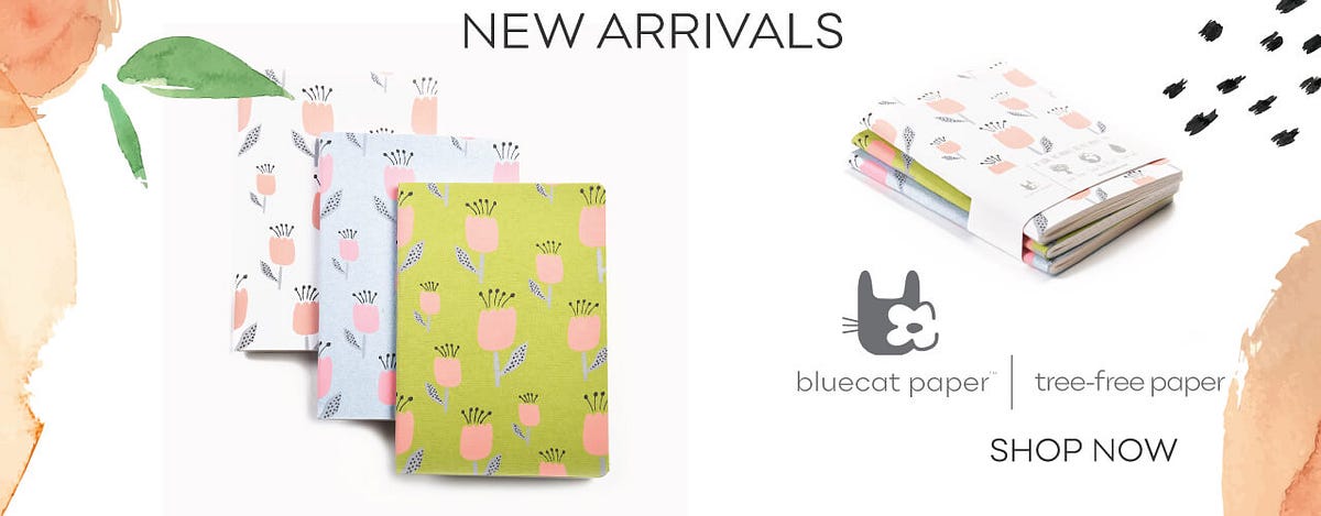 The Eco-Friendly Charm of Bluecat Paper: Embracing Beautiful Wood-Free ...