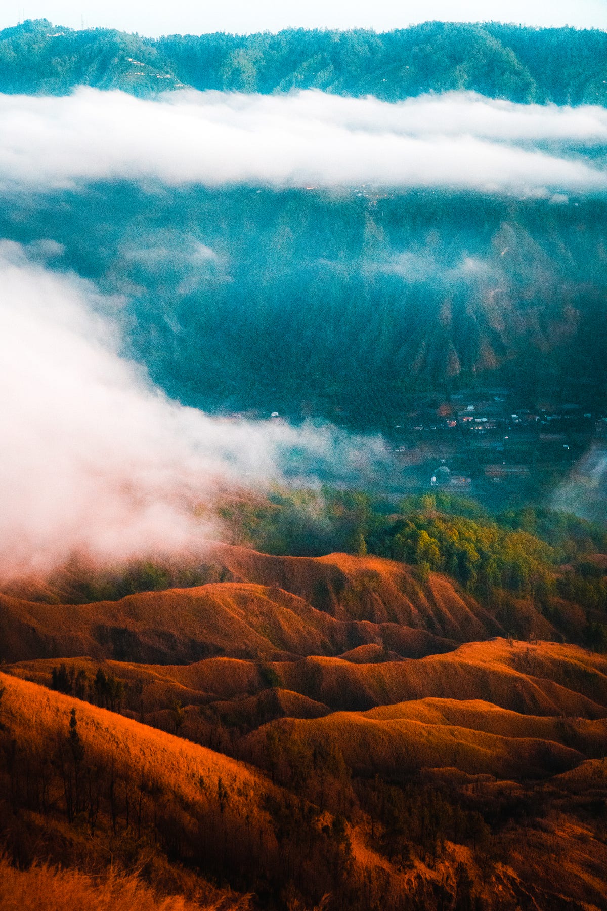 A Study in Rust and Pine - Bouncin’ and Behavin’ Poems - Medium