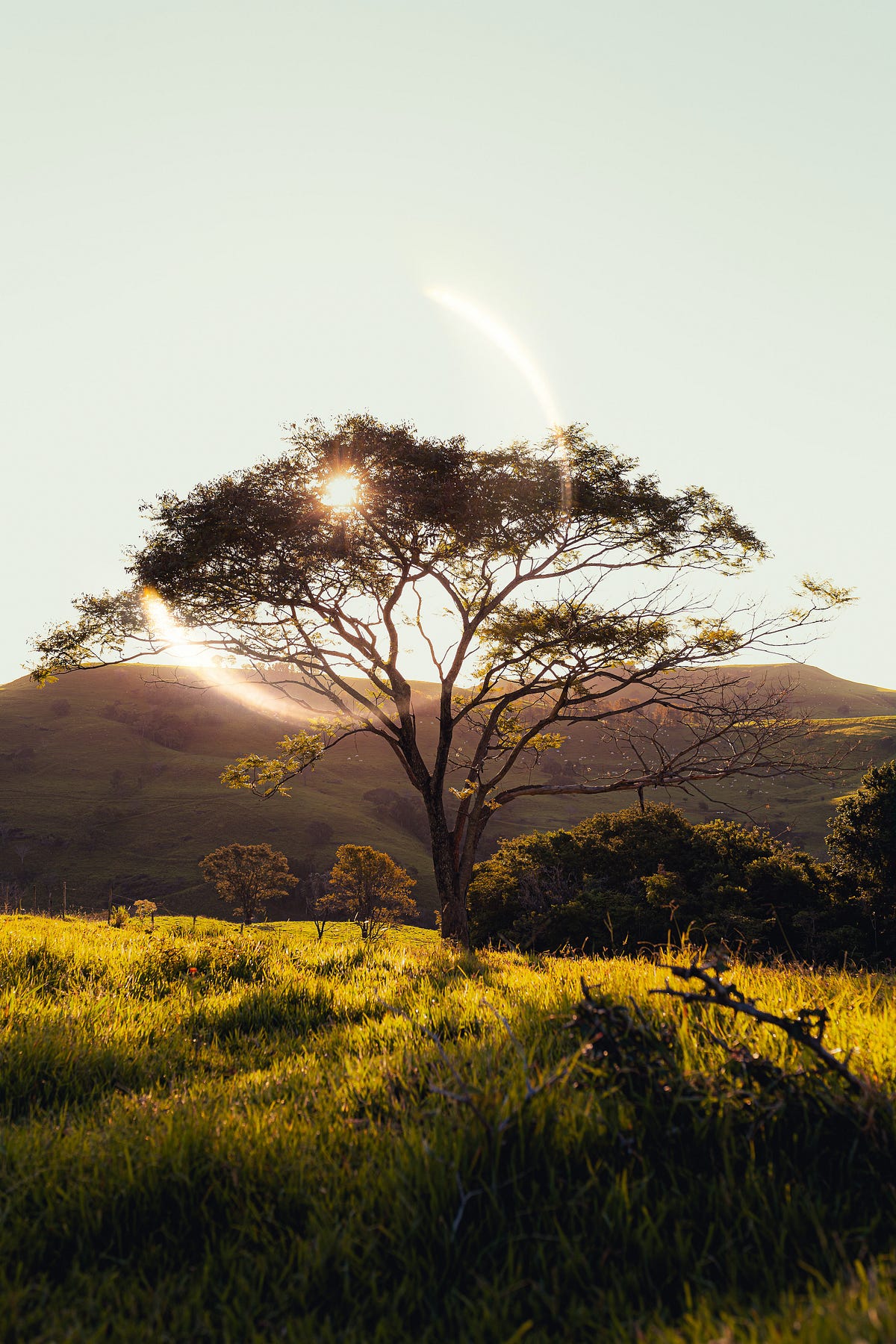 Inverting A B Tree Using Recursion In Java By Bibek Poudel Stackademic 7395