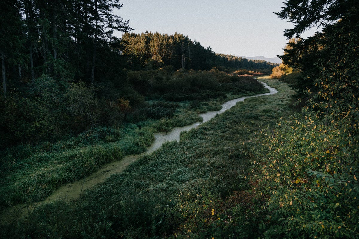 How to Use Stateful Operations in Kafka Streams | by Abhishek Gupta ...