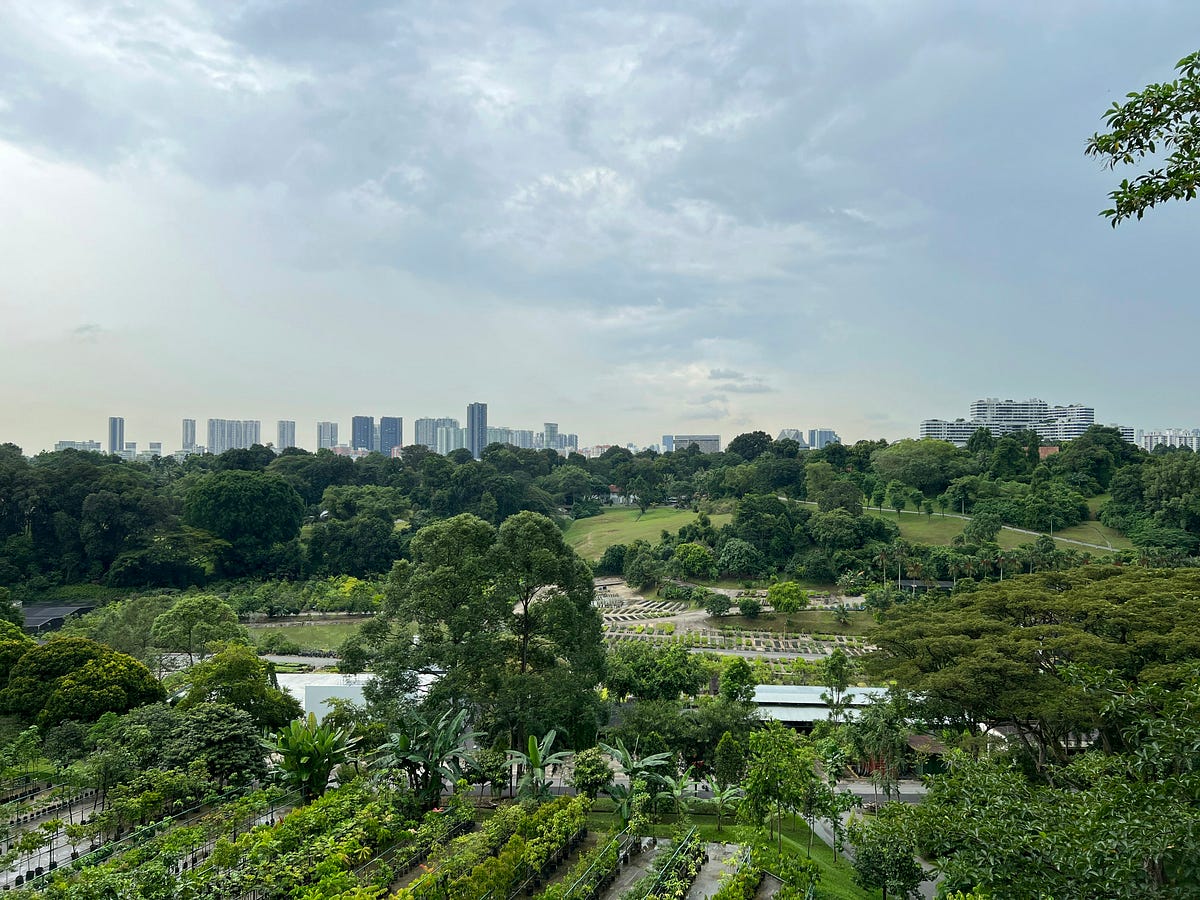 The Earth Knows How to Heal, If We Let It | by Shiv Prakash Singh ...
