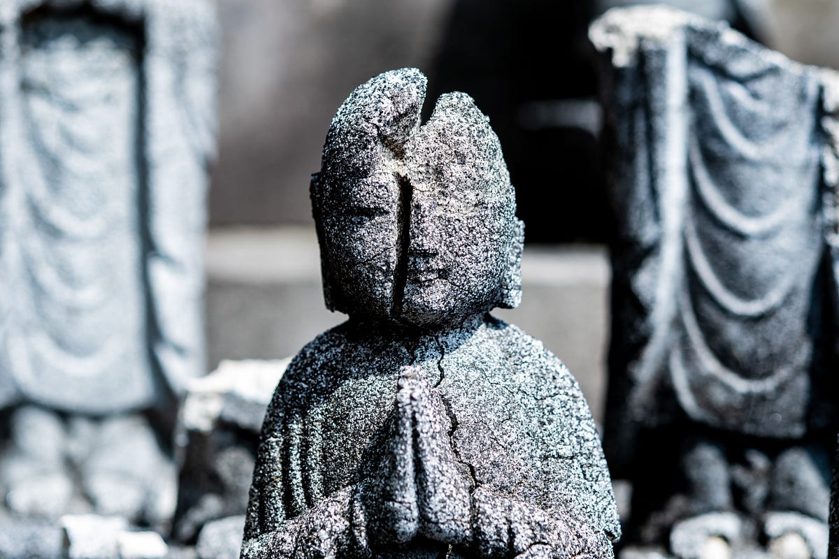 Scars Are A Sign You’ve Earned The Skin You Live In | by Erik Brown ...