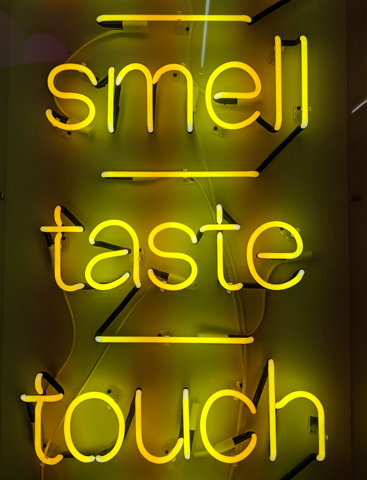 How to Write Sensory Description that Will Grab Your Readers | by ...