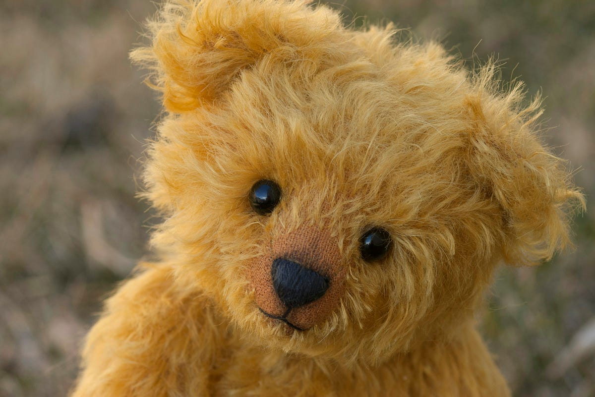 BoBo the Teddy Bear. A Bear named BoBo | by Betty Rohlic | Chasing ...