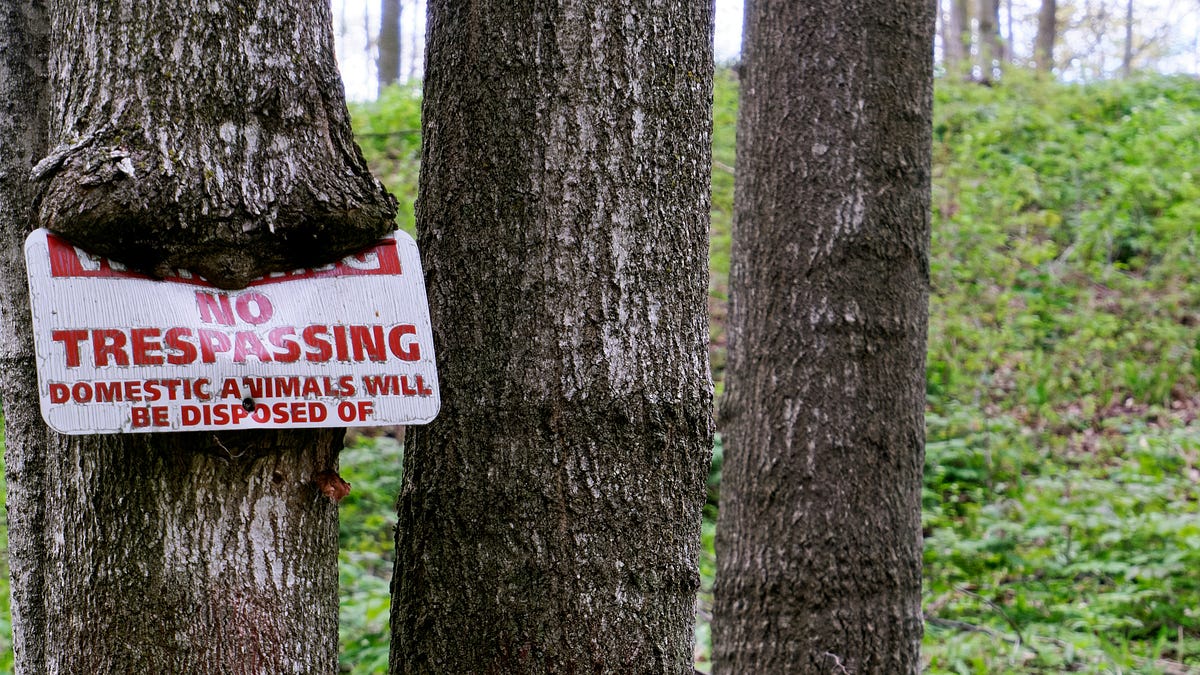 The Power of Setting Boundaries. Your Ultimate Guide to Commanding ...