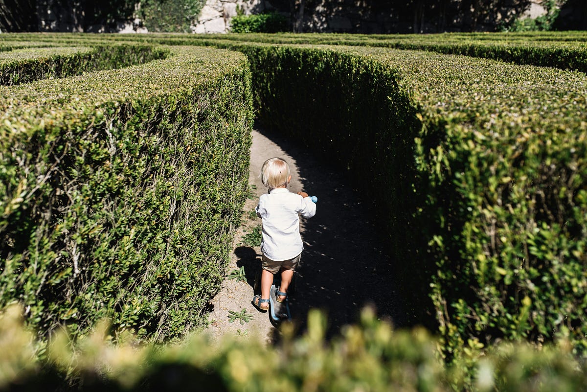 Navigating the Maze: A Self-Taught Software Engineer’s Journey in 2023 ...