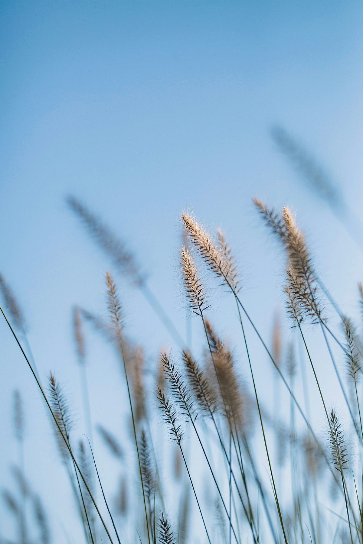 Hoka gata 51st. Photo by Uran Wang on Unsplash | by GATA LÒN INÒ | Mar ...