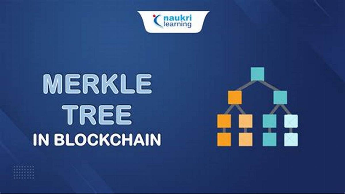 Understanding Merkle Trees: The Backbone of Blockchain Security | by lanre | Medium