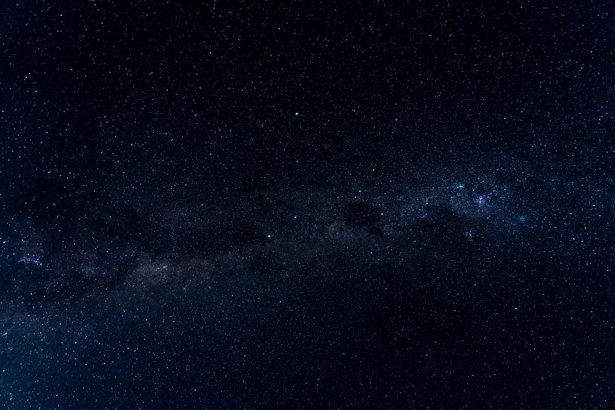 “The Slow Regard of Silent Things” is a Beautiful Meditation on Nothing ...