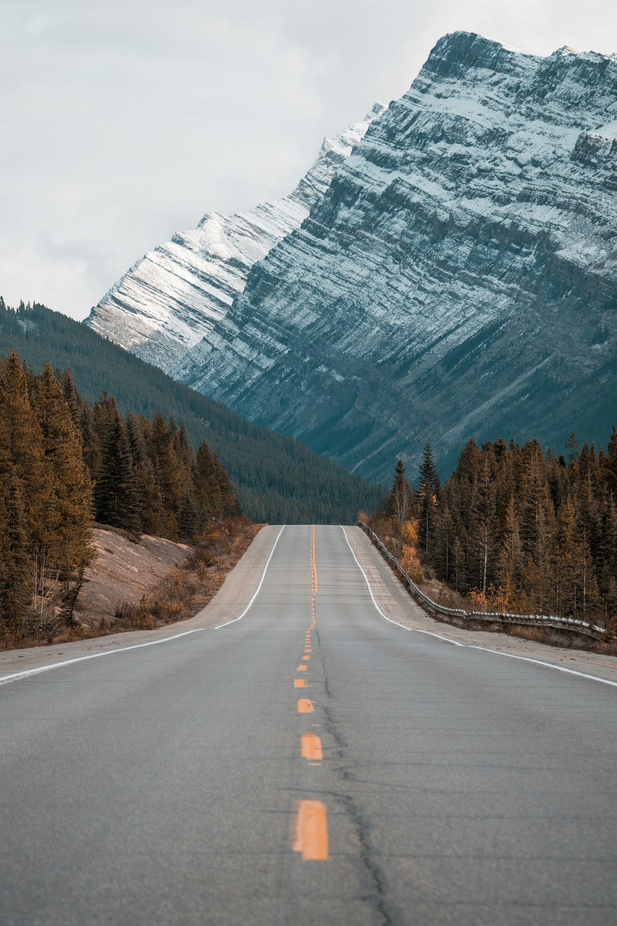 The Hard Road Ahead: Navigating Life's Unseen Challenges | by Leahpania ...