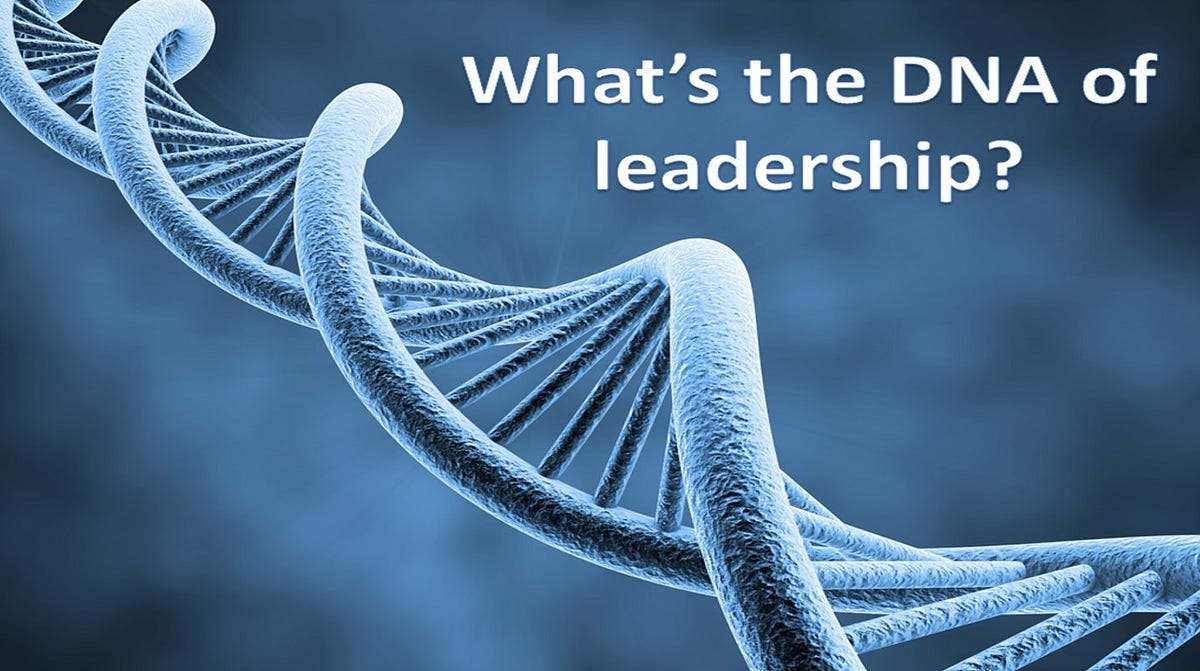Leadership Research Paper: Decoding the DNA of Effective Business ...
