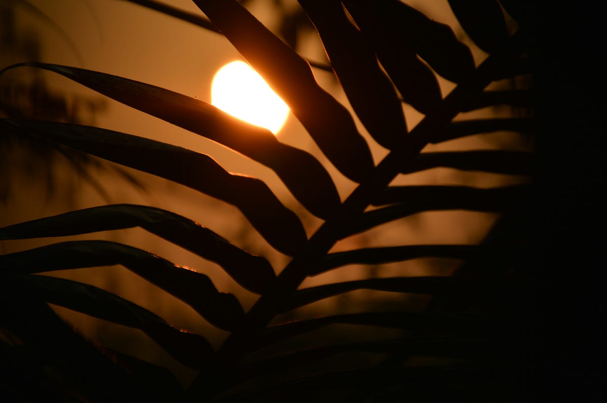 I Finally Got the Willpower and Courage to Overcome a Setback | by Anitha Jayasankar | Namaste ...