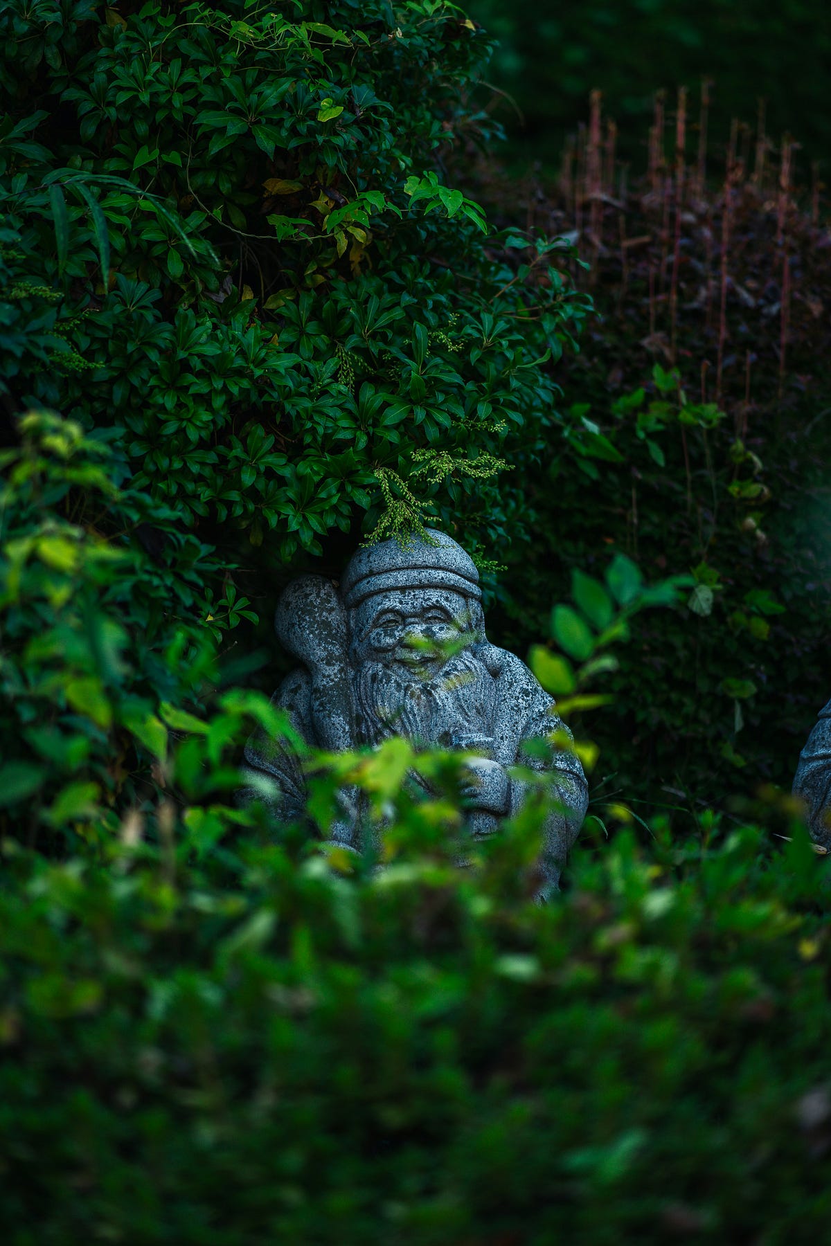 BIOESSENTIALISM IS BULLSHIT: A RAGE-FILLED DUMPSTER FIRE OF A POST | by ...