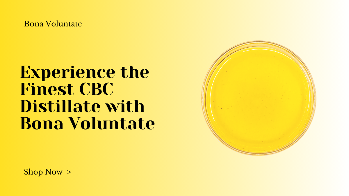 Premium CBC Distillate & Oil in Bulk | Medium