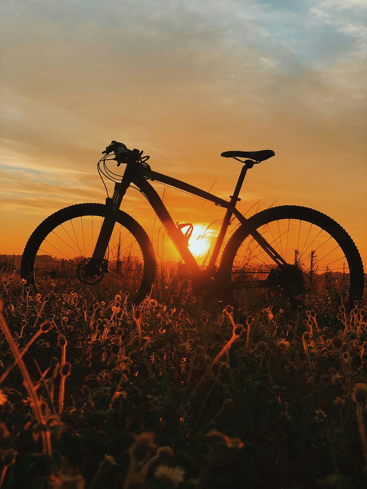 Ten-Speed Bike. Every Saturday morning, I walked to the… | by Colleen ...