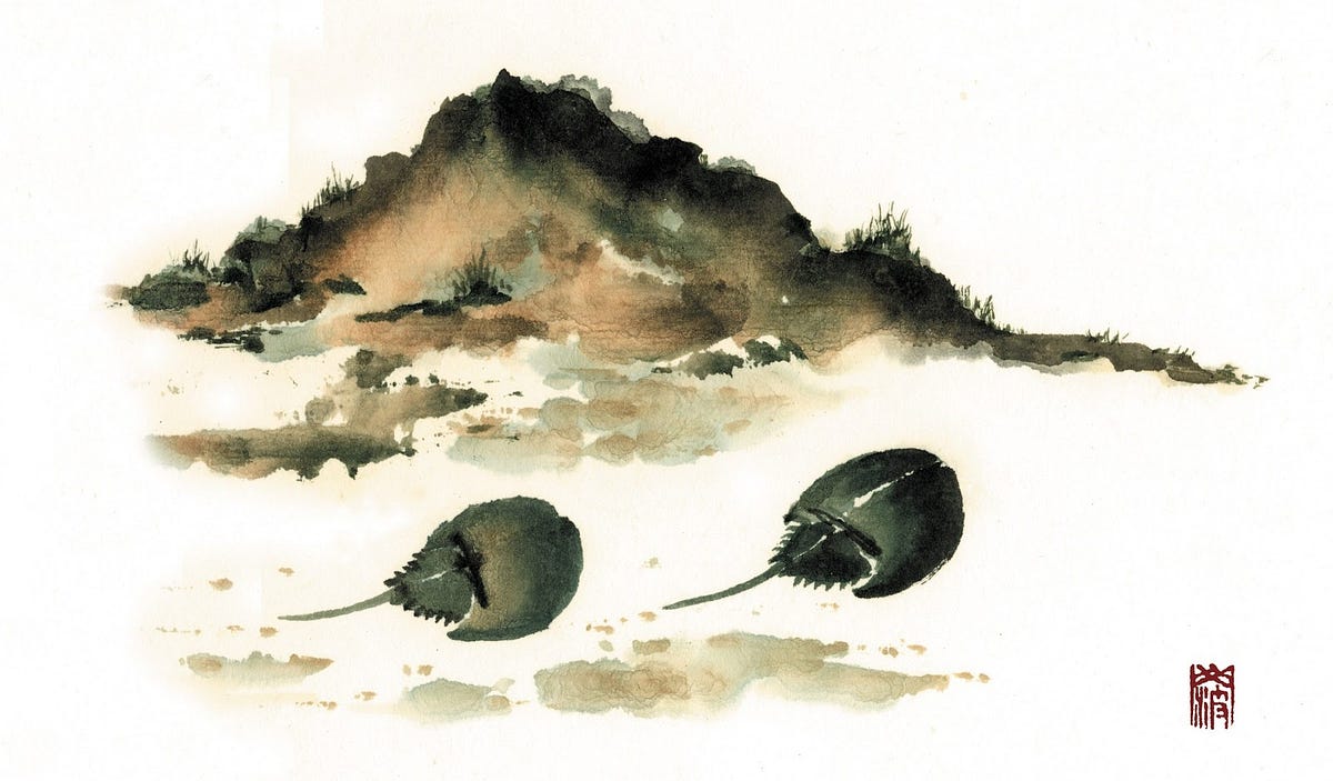 How Does Limulus Amebocyte Lysate Help You Live a Better Life? | by ...