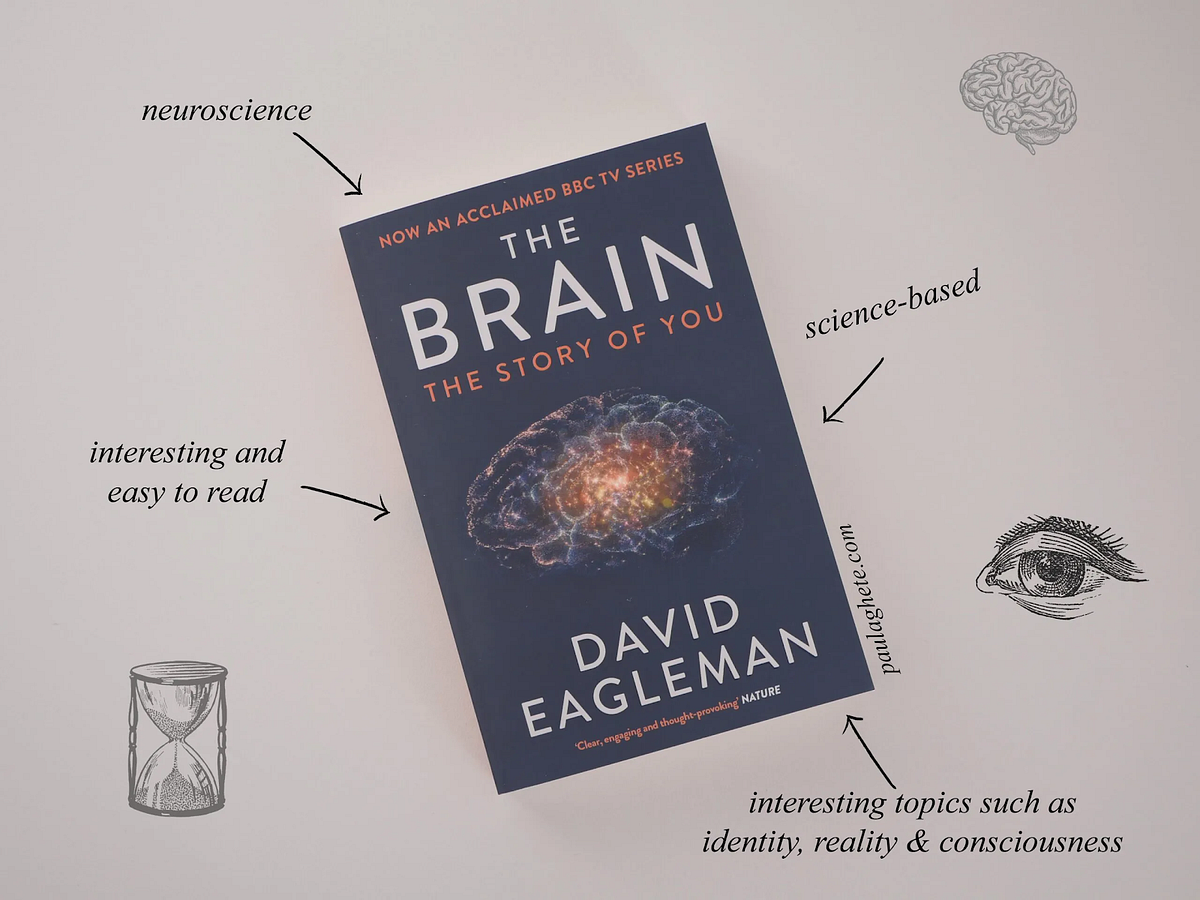 “The Brain: A Fascinating Journey into the Story of You” | by Mayank ...