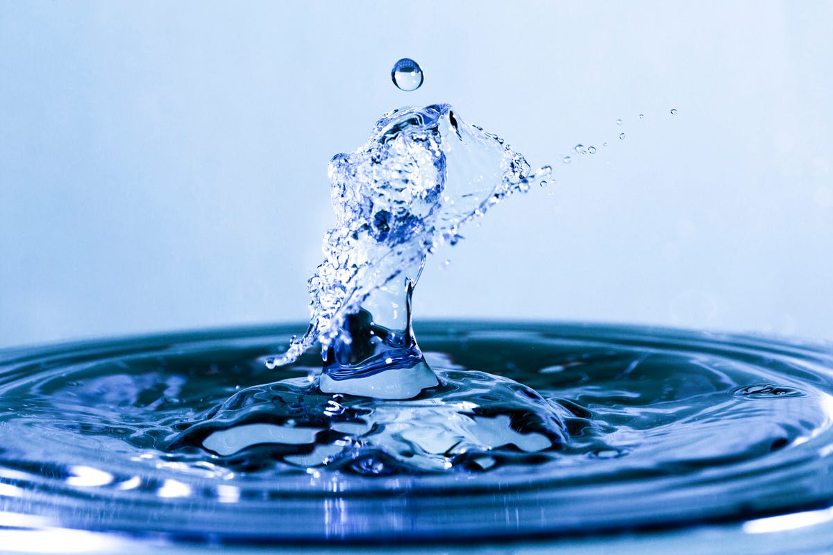 Liquid Neural Nets (LNNs). A deep dive into Liquid Neural… | by Jake ...
