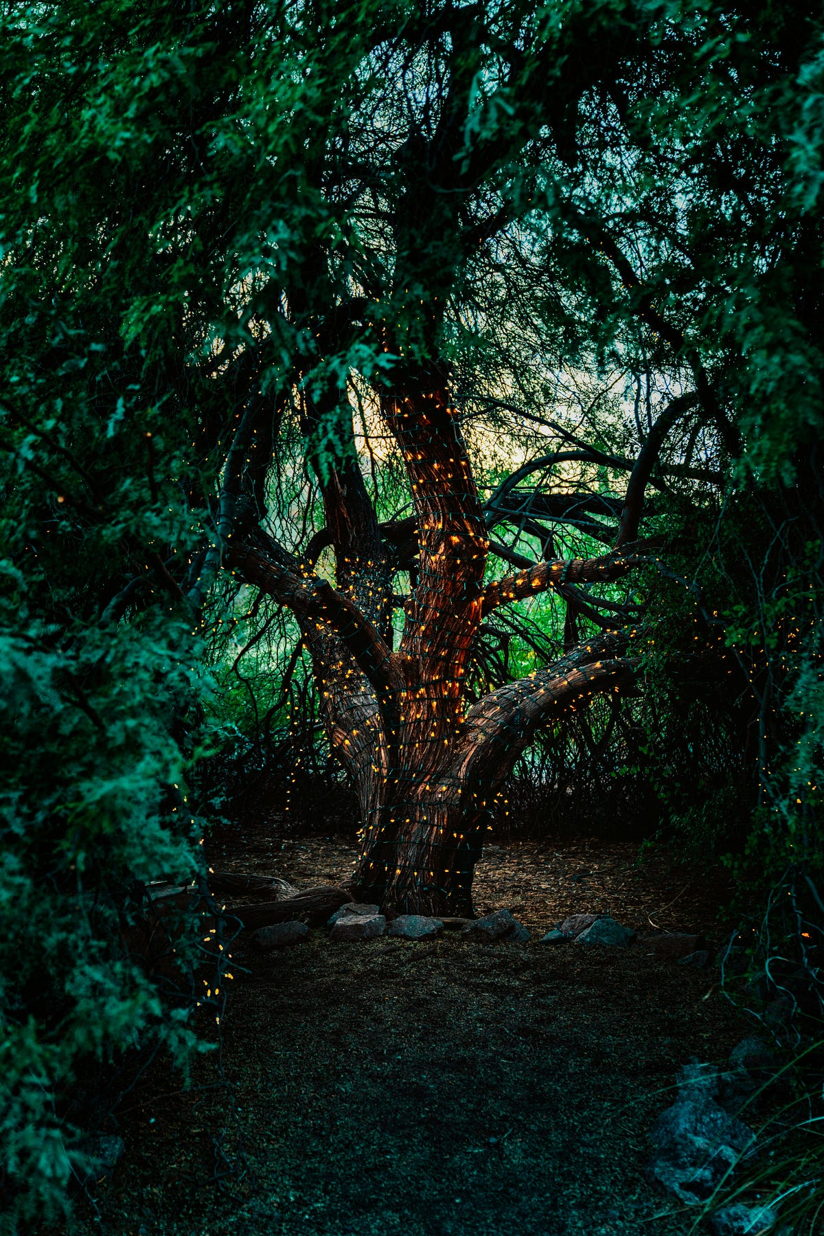 Python Descriptors: The Hidden Magic Behind Properties, Methods, and ...