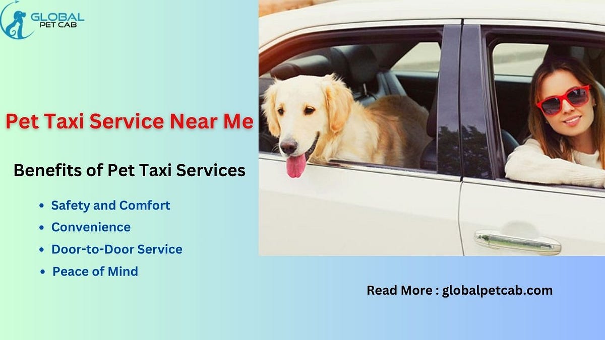 Finding the Best Pet Taxi Service Near Me: A Comprehensive Guide | by ...