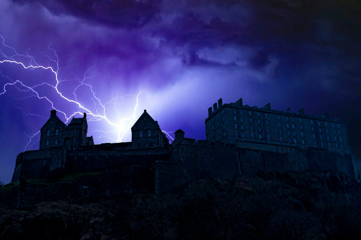 Way Past W.T.F.. Under a cold, dark sky | by Michael Campi | May, 2024 ...