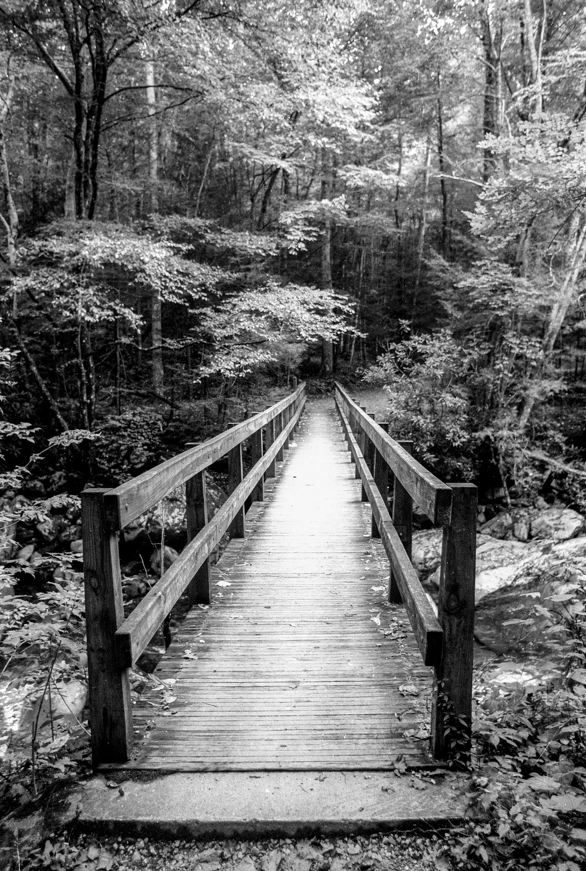 How to get and stay on the path to greatness | by Damon Moschetto | Mar ...