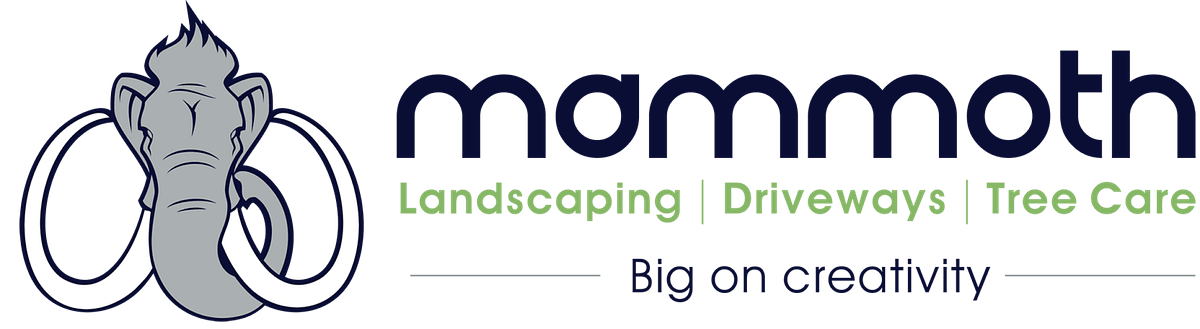 Improve Your Property’s Security and Privacy With a New Fence! | by ...