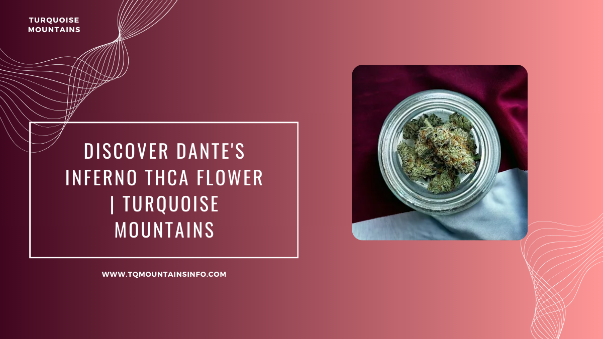 Dante's Inferno THCA Flower | Turquoise Mountains | Medium