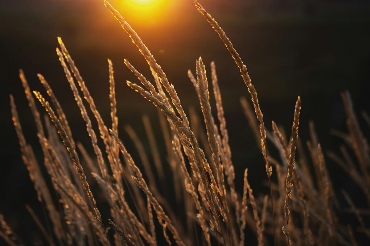 #7 | Righteousness | Visual Narrative | by Soul Care | Medium