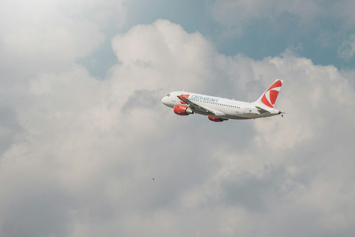 Septolet for NaPoMo#13 - Weeds & Wildflowers - Medium