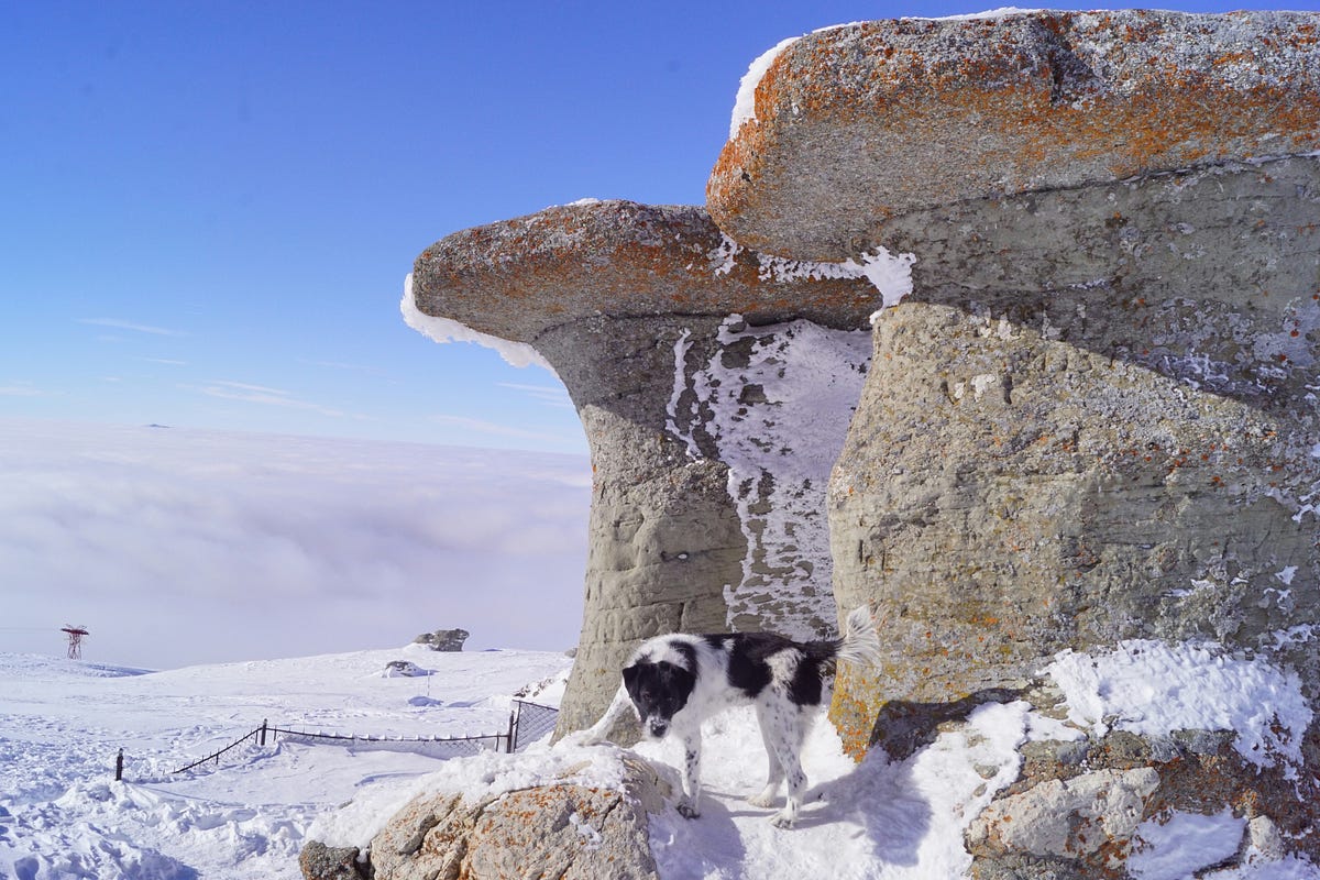 Our Footprints in Babele Saddle. Babele, also known as the Babele rock ...