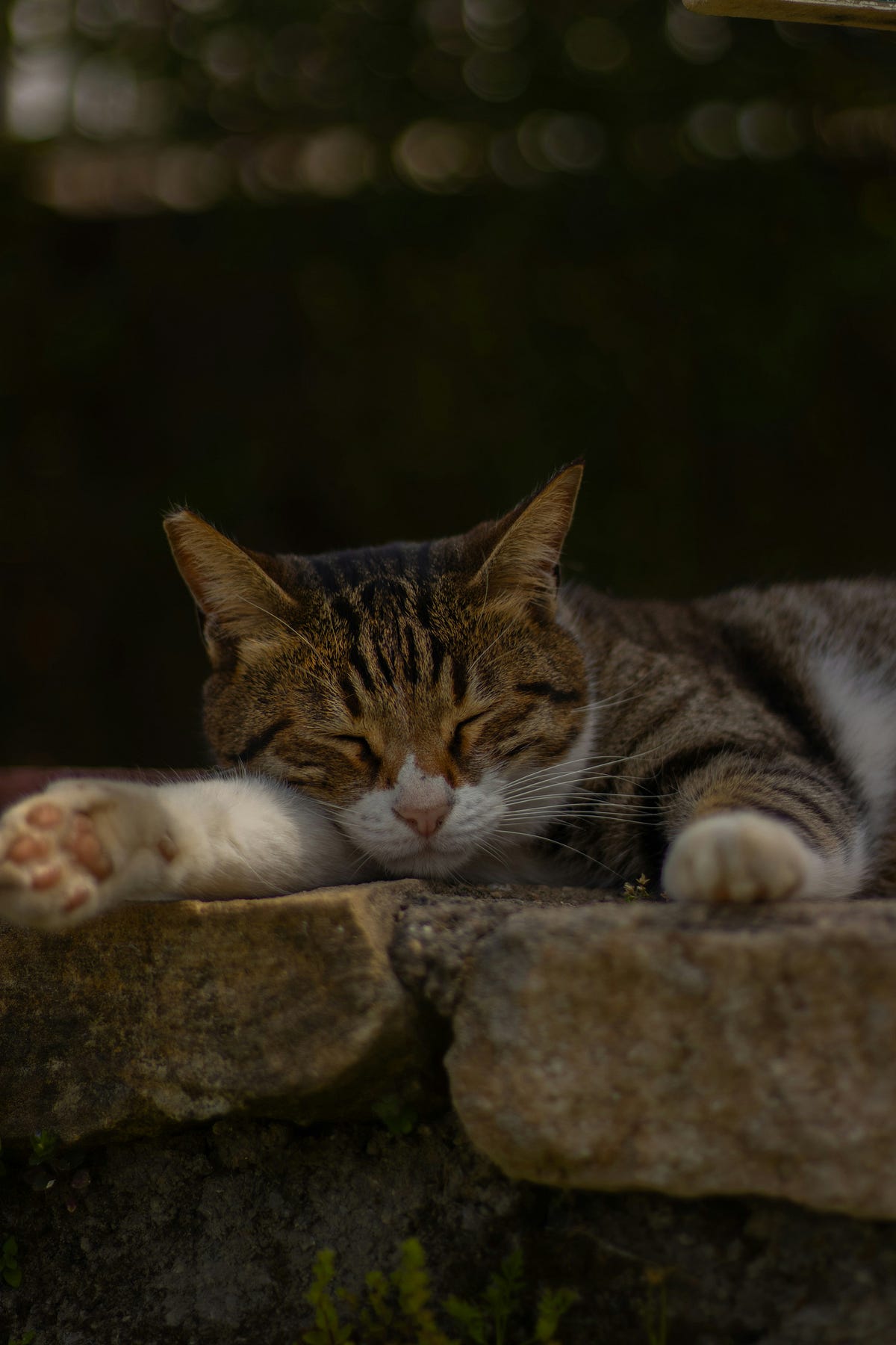 “Soft Life, Real Hustle: How Gen Z Is Flipping the Script on Success ...