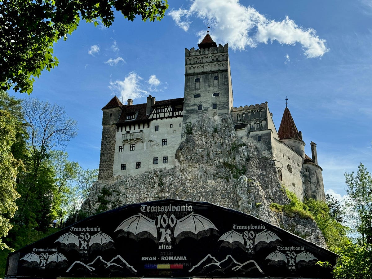 Self-Doubt, Pain and Euphoria. Still feeling the euphoria (and a bit… | by Damien Kopp | Medium