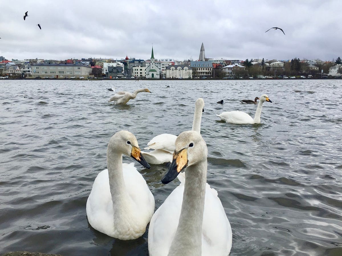 How to Turn a Travel Disaster into a Mini-Vacation | by Guac Magazine Editors | Guac Magazine ...