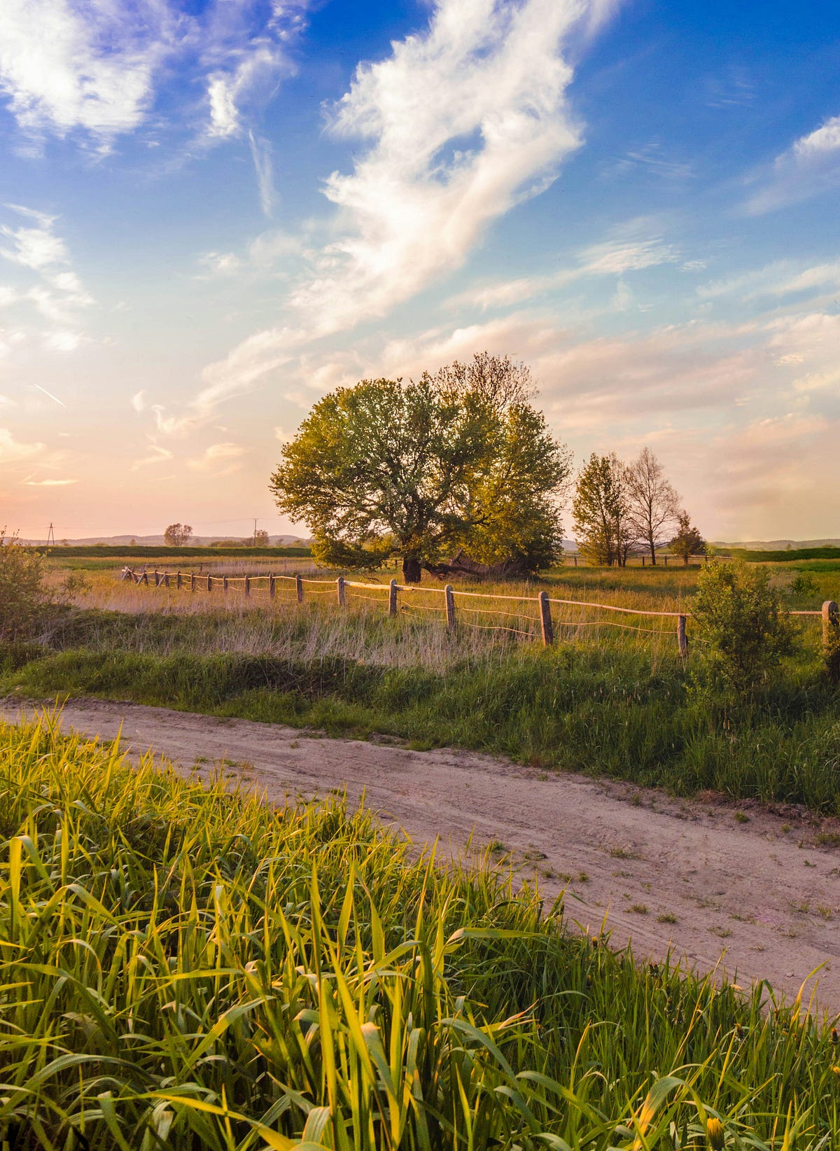 Between City Lights and Countryside Dreams | by Komal G Malik | Women ...