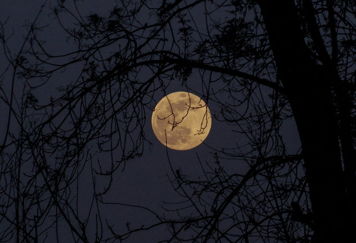 Moonshadows. A poem circa 1991 | by Ann Marie Steele | Scrittura | Medium