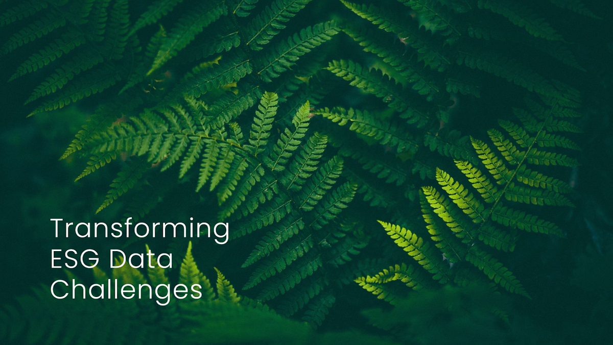 Transforming ESG Data Challenges into Opportunities with AI-Powered ...