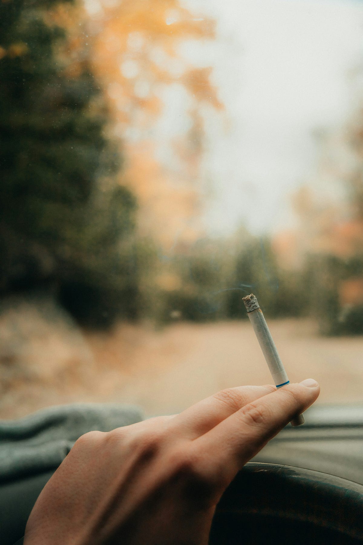 Up the Road - Scuzzbucket - Medium