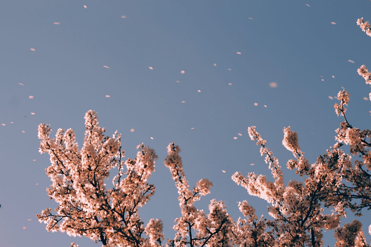 5 reasons why I am Grateful to the Life-Giving Air We Often Take for Granted | by Sagar Om | Medium